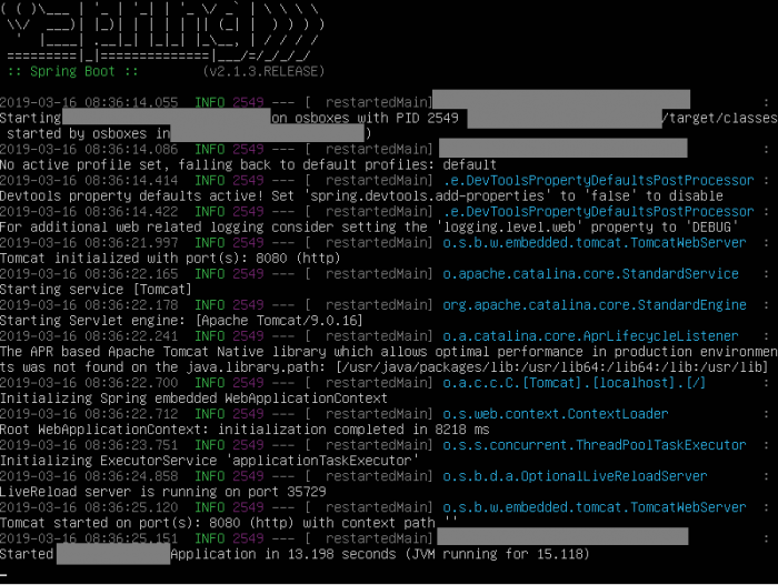 Environment-Dependent Code Execution with Spring Boot and Docker - Bernhard Knasmüller on ...